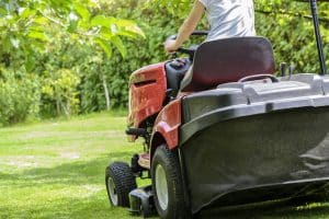 Quand tondre la pelouse : calendrier et conseils pratiques